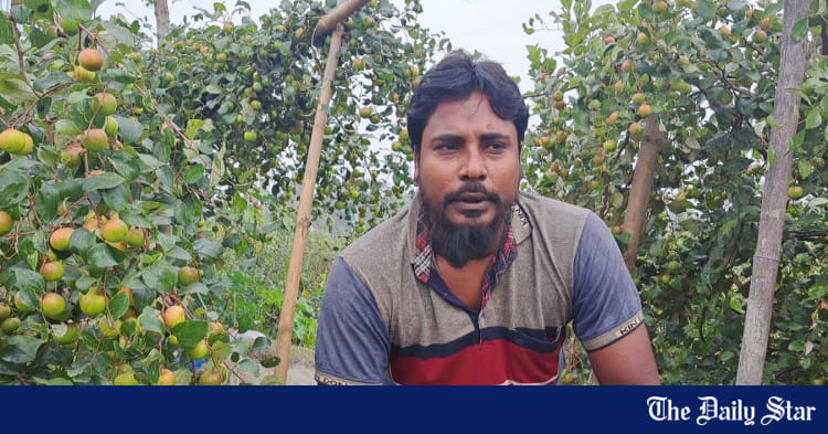 Russell finds fortune in plum cultivation | The Daily Star