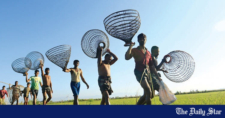 Pitching the Polos | The Daily Star