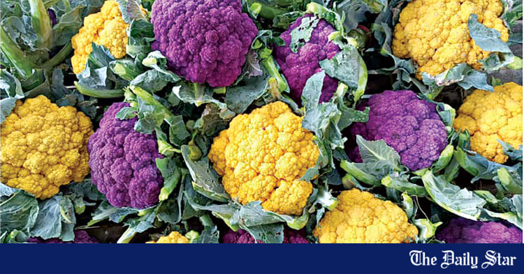 Coloured cauliflower showing bright prospects | The Daily Star