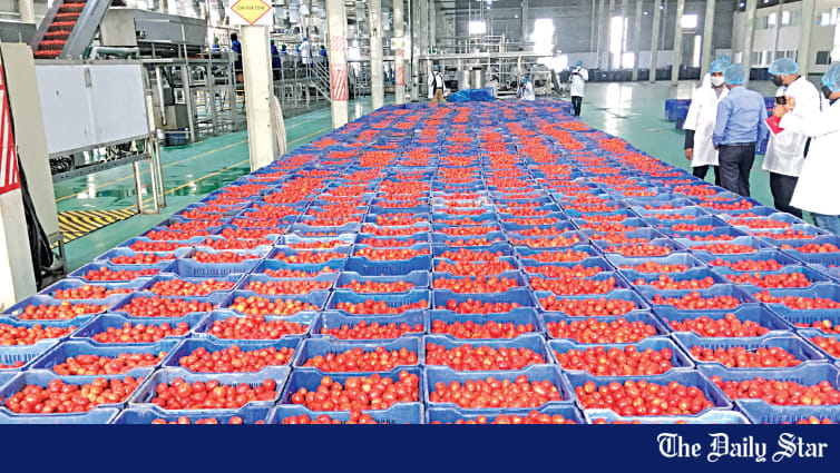 Huge potential to raise agro, processed food exports to UK | The Daily Star