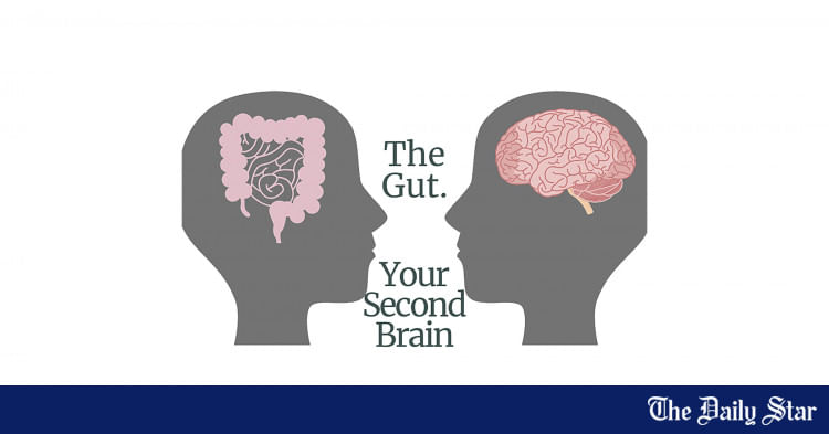 Our second brain | The Daily Star