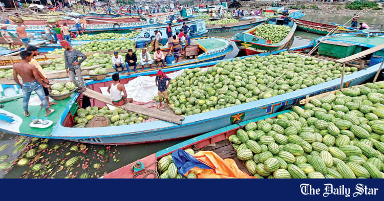 Hailstorms wreak havoc on watermelon farms | The Daily Star