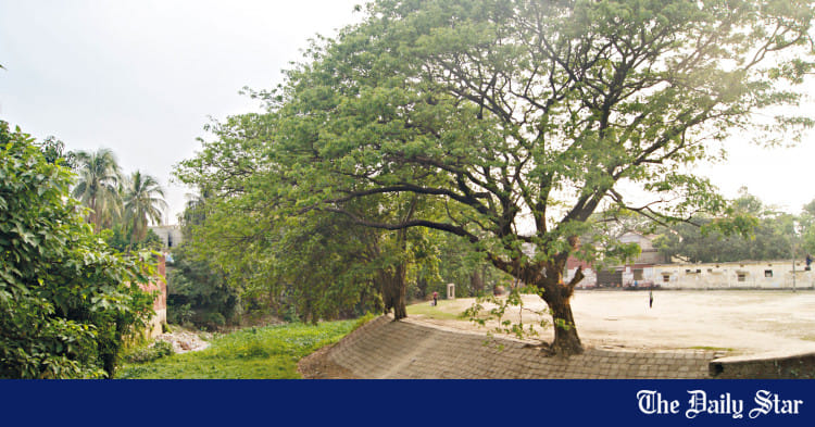 Haunting memories of Jinjira massacre | The Daily Star