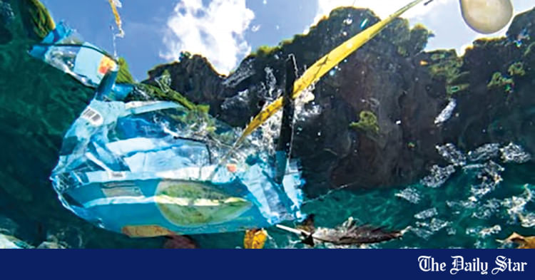 Coastal shellfish ‘colonise’ ocean plastic: study | The Daily Star