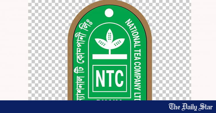 Why National Tea’s share price plunged 60%? | The Daily Star