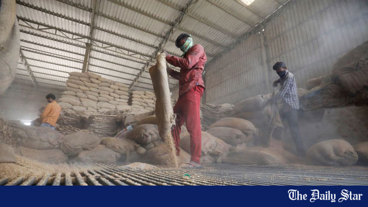 India may harvest record wheat in 2023 | The Daily Star