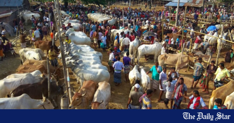 Cattle Markets In Dhaka | Dhaka to have 22 cattle markets for Eid-ul ...