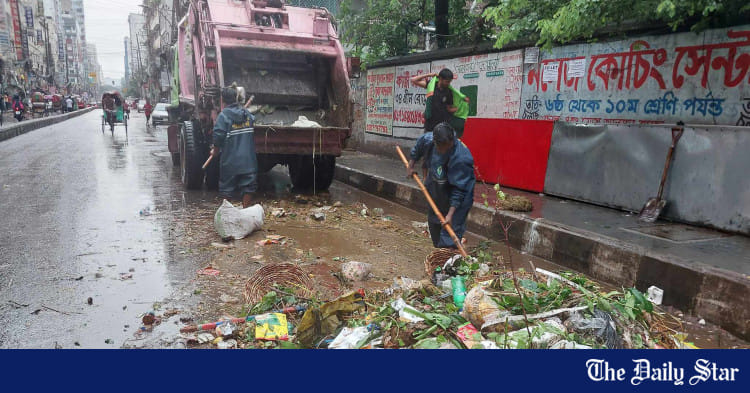 Animal waste: Cities plan quick disposal | The Daily Star