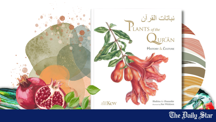 ‘Plants of the Quran’ explores flora dating back 1400 years | The Daily ...