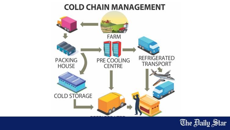 Cold chain can save food supply chain | The Daily Star