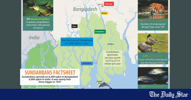 Why Sundarbans so Crucial: Not merely a forest but life