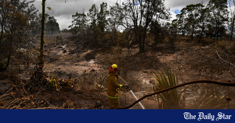 Hawaii fire death toll nears 100, and anger grows | The Daily Star