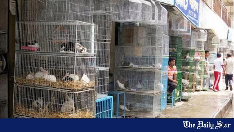 Katabon pet shops: Some workers to stay back for animals during Eid ...