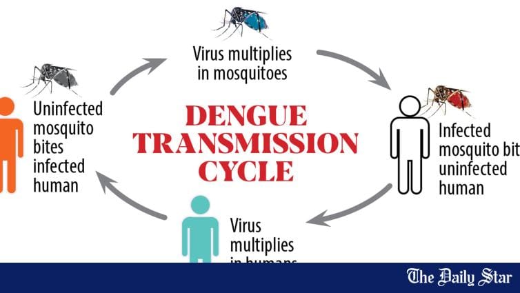 Botched dengue response: Where does the fault lie? | Dengue outbreak in ...