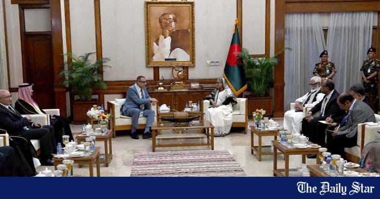 PM for unity of Muslim Ummah to resolve Palestine crisis | The Daily Star