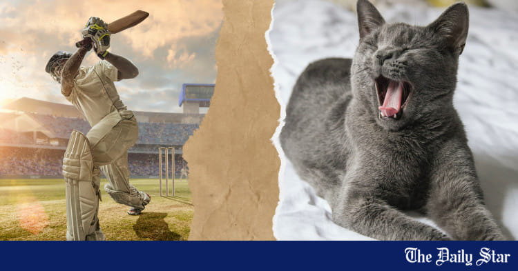 Why is cricket so boring? | The Daily Star