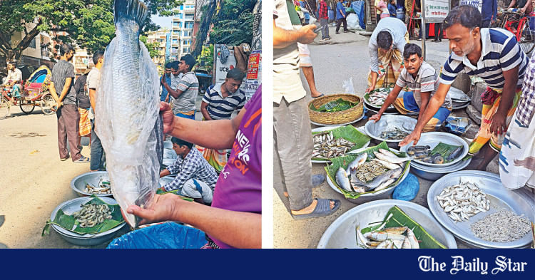 Behind the scenes: Story of Dhaka’s fish trade | The Daily Star