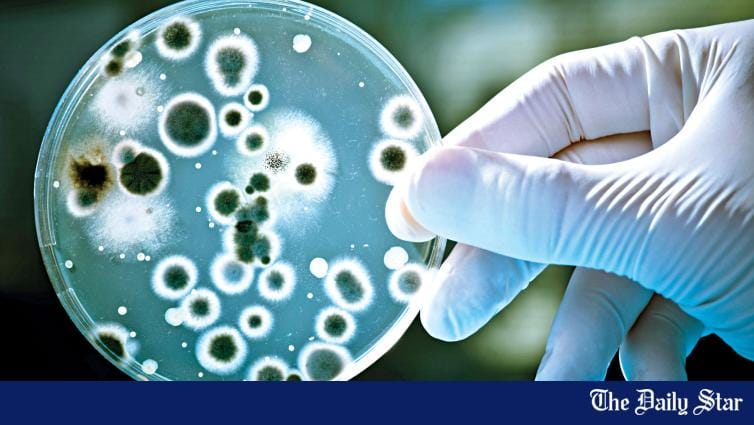 The roles of microbes in space from a health perspective | The Daily Star