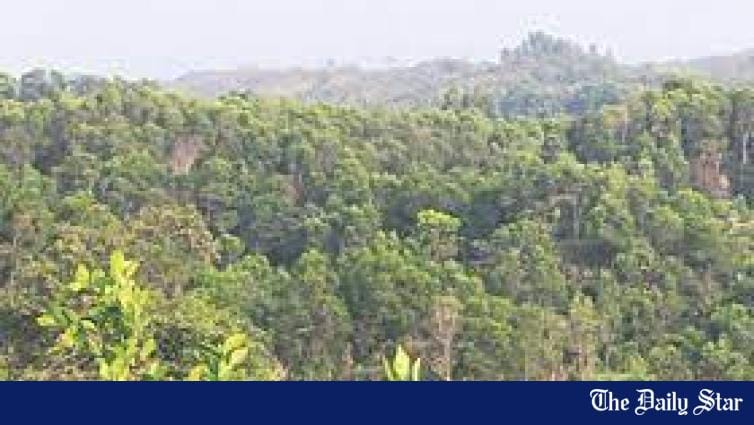 Forest Department’s leadership crucial for conservation | The Daily Star