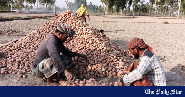 High potato price makes farmers happy | The Daily Star