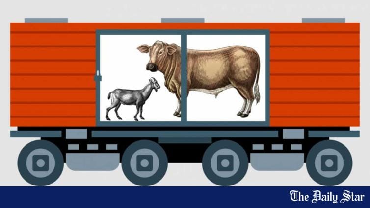 BR to run cattle trains June 12-14 | The Daily Star