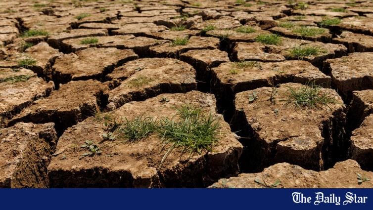 Impact of Soil Degradation on Bangladesh Food Security | World ...