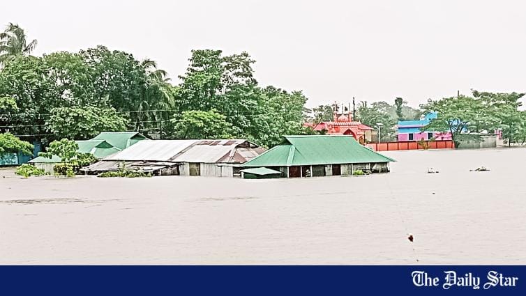 Floods In Sylhet: Farmers count the losses | The Daily Star