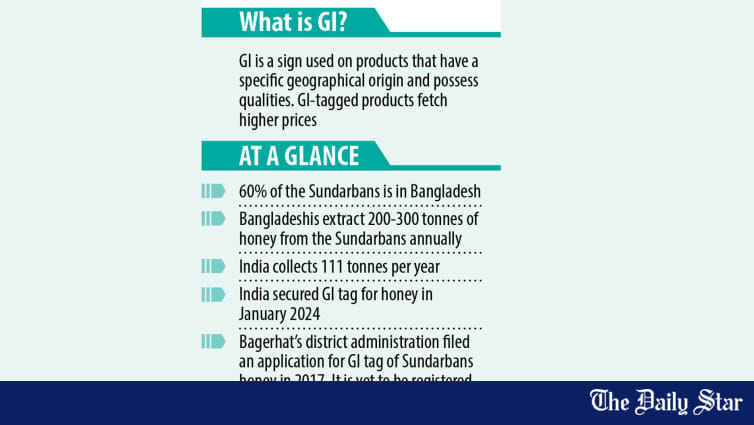 Team up with India to protect shared GI: CPD | The Daily Star