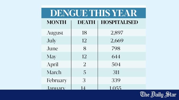 Dengue in 2024: August deadliest month so far | The Daily Star