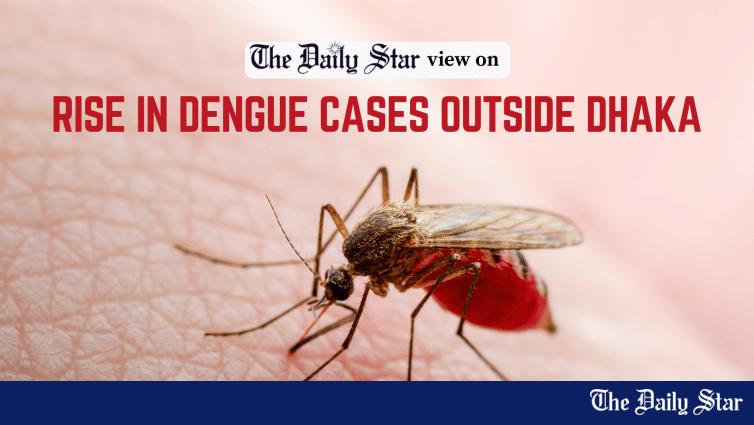 Govt should prioritise dengue control | The Daily Star