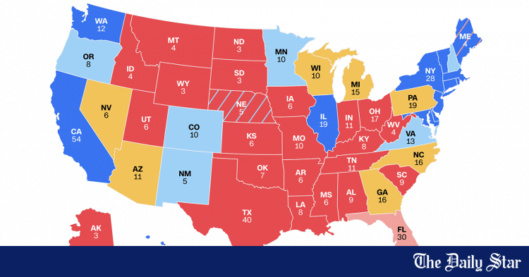 How Electoral College Works In US Elections | What is the ‘Electoral ...