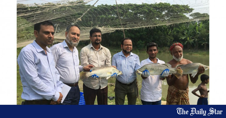 Innovation in aquaculture: Artificial feeding boosts coral fish farming