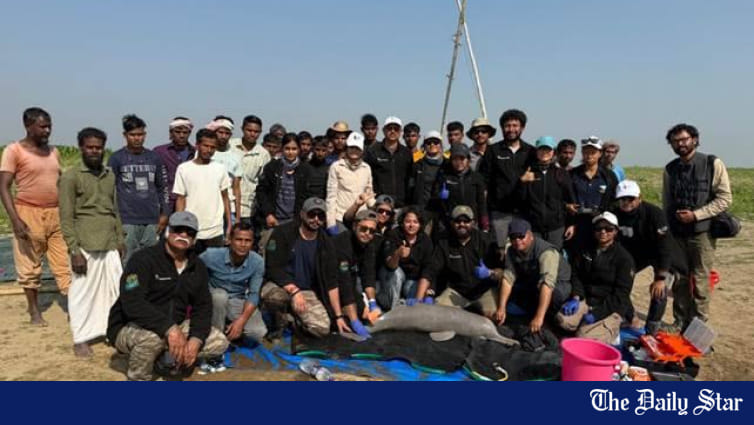 India tags river dolphin in historic first step towards conservation ...