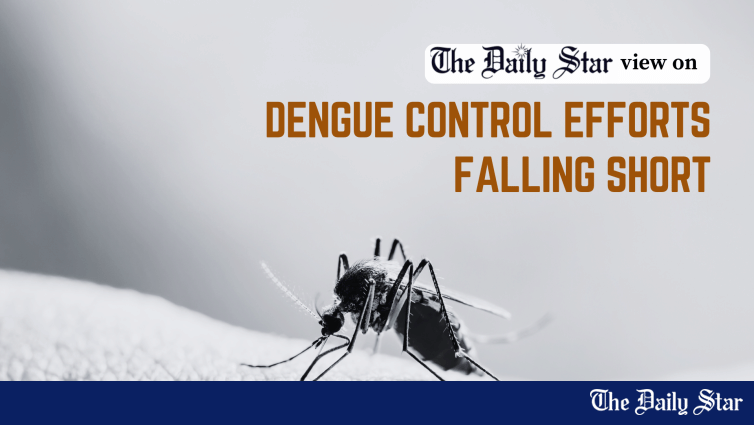 Dengue Control Efforts Falling Short | We must improve dengue ...