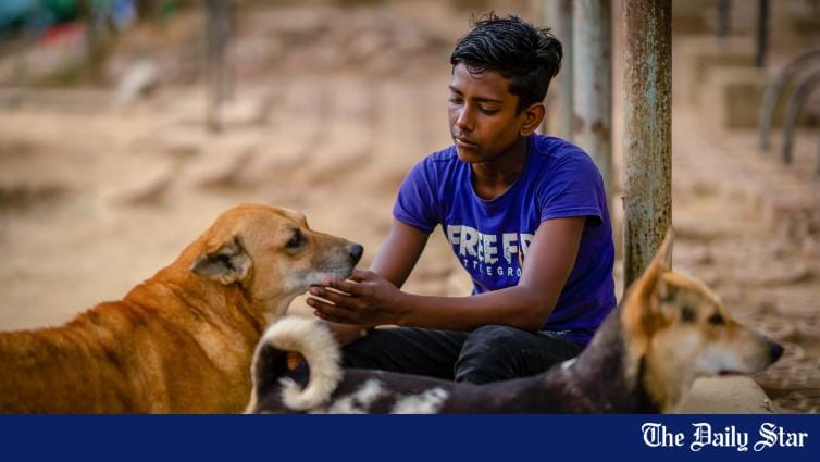 Understanding the Roots of Animal Cruelty in Dhaka | Psychological ...