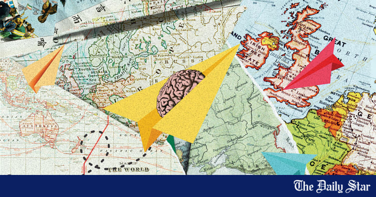 A comparative analysis of countries that reversed brain drain | The ...