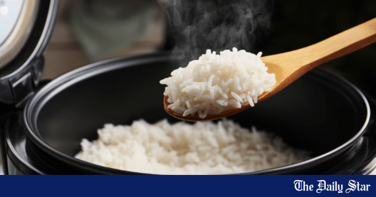 Rice cookers under BDT 5,000: our picks | The Daily Star