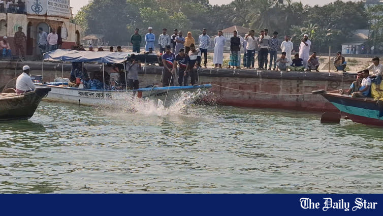 Two crew missing as bulkhead sinks in Padma | The Daily Star
