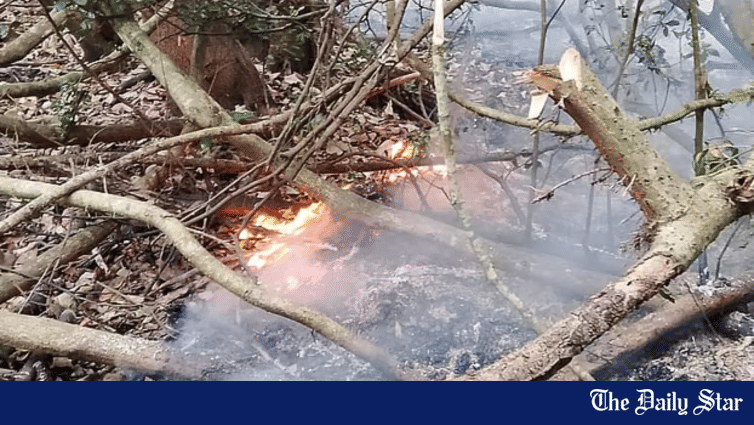 Fire in Sundarbans East Division | Sundarbans fire under control after ...