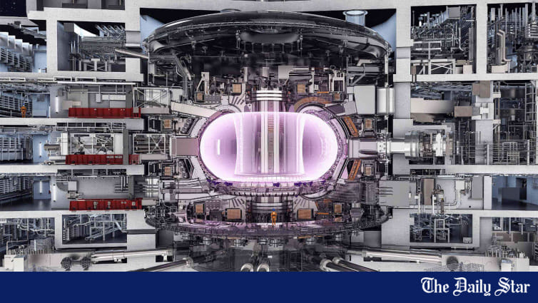 Global nuclear fusion project crosses milestone with world's most ...