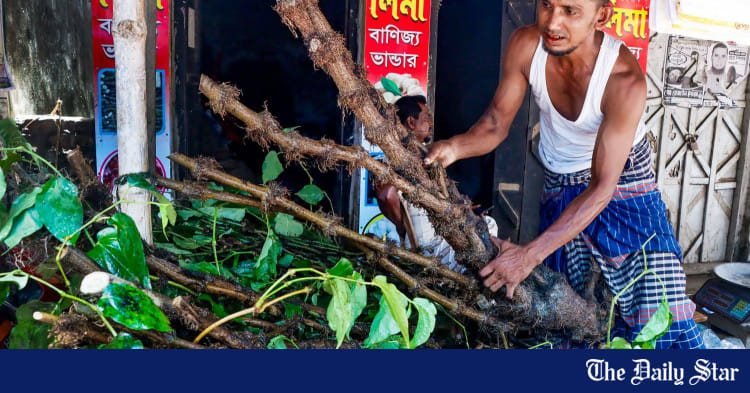 Demand, prices of chui-jhal soar ahead of Eid | The Daily Star