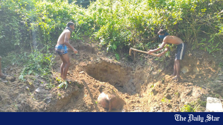Elephant calf's corpse recovered from Kaptai Lake after 6 days, laid to ...