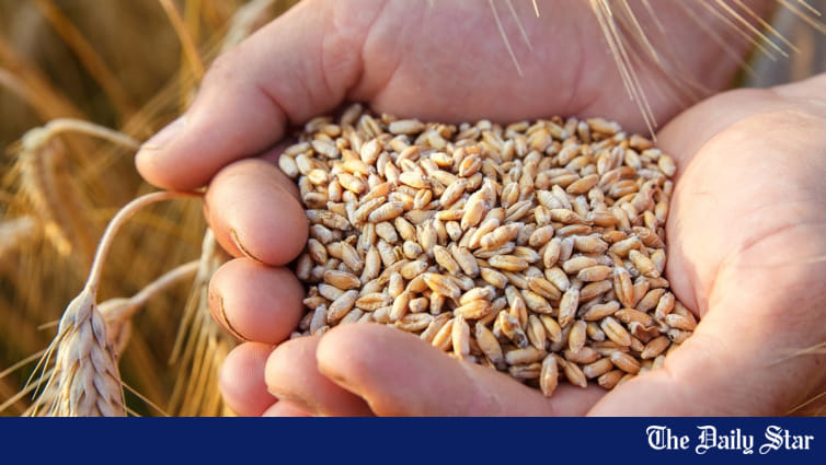 World food prices ease further in Nov: FAO | The Daily Star