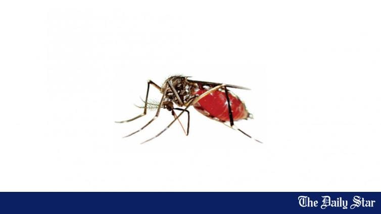 Dengue claims 7 more lives | The Daily Star