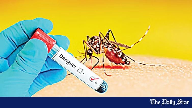 Dengue: Four dead, 319 patients hospitalised in a day| [The Daily Star]