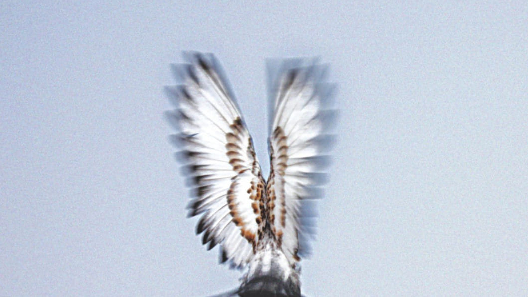 Diversity: Photo Festival at KUET | The Daily Star