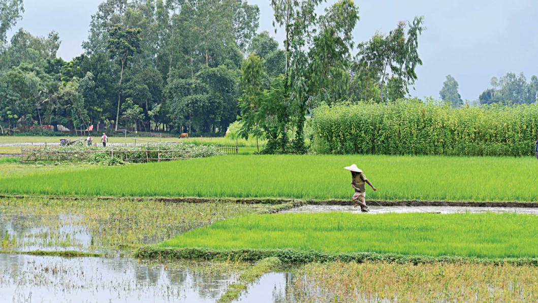 Business Gallery | The Daily Star