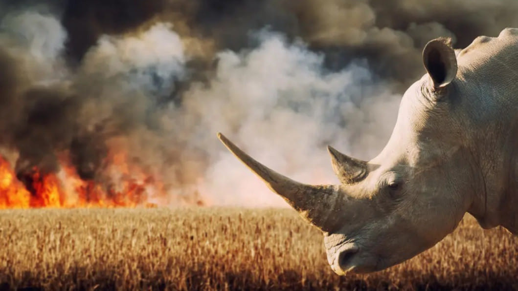 Are we headed toward the Sixth Mass Extinction? | The Daily Star