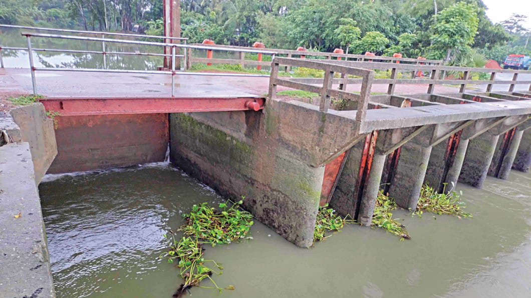 Unplanned sluice gates a curse for coastal districts | Unplanned sluice ...
