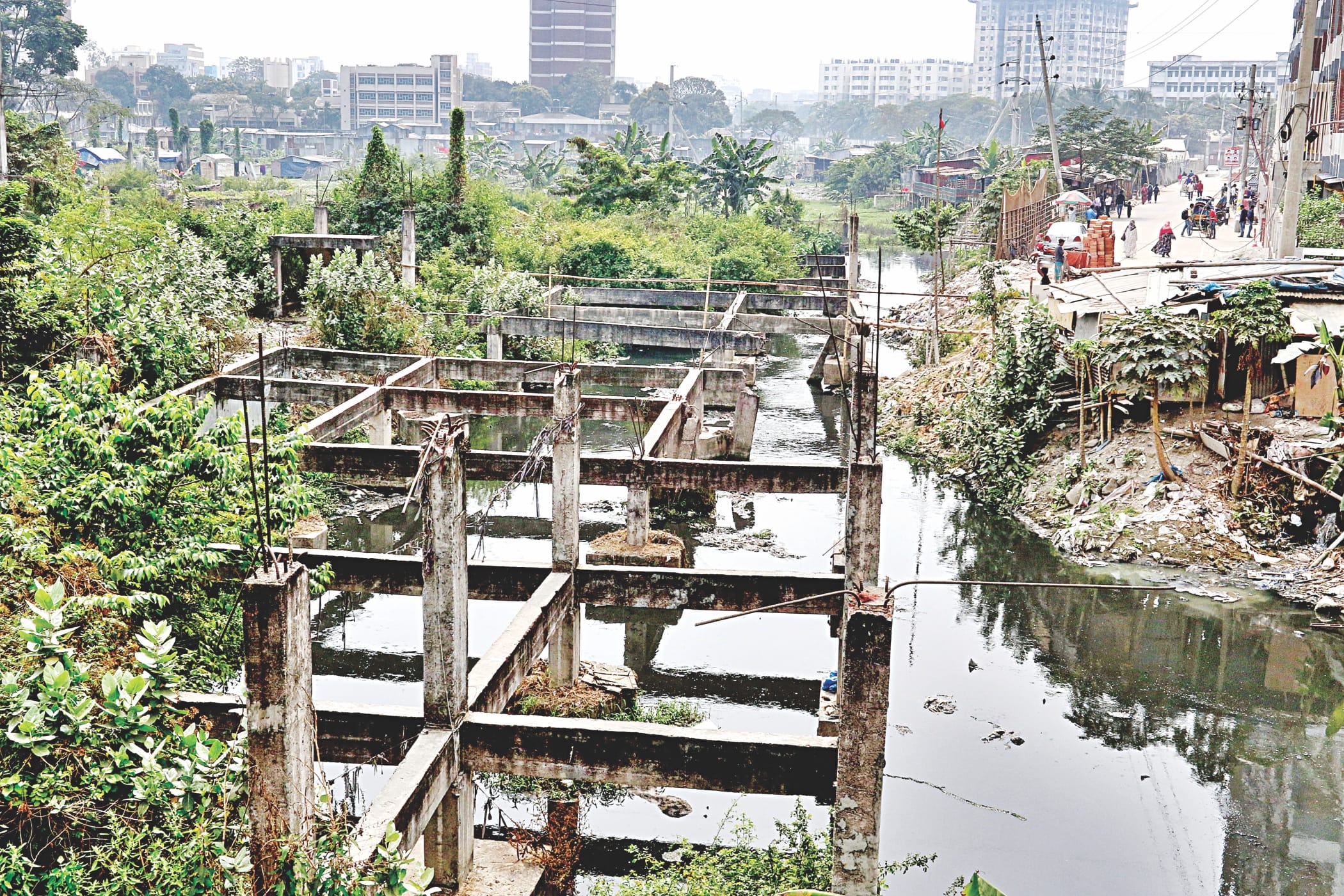 Today's Gallery (2020.02.29) | The Daily Star